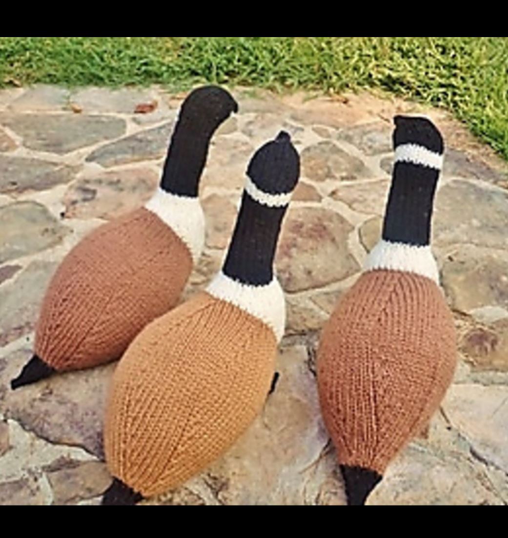 Free Knitting Pattern | Betsy's Goose