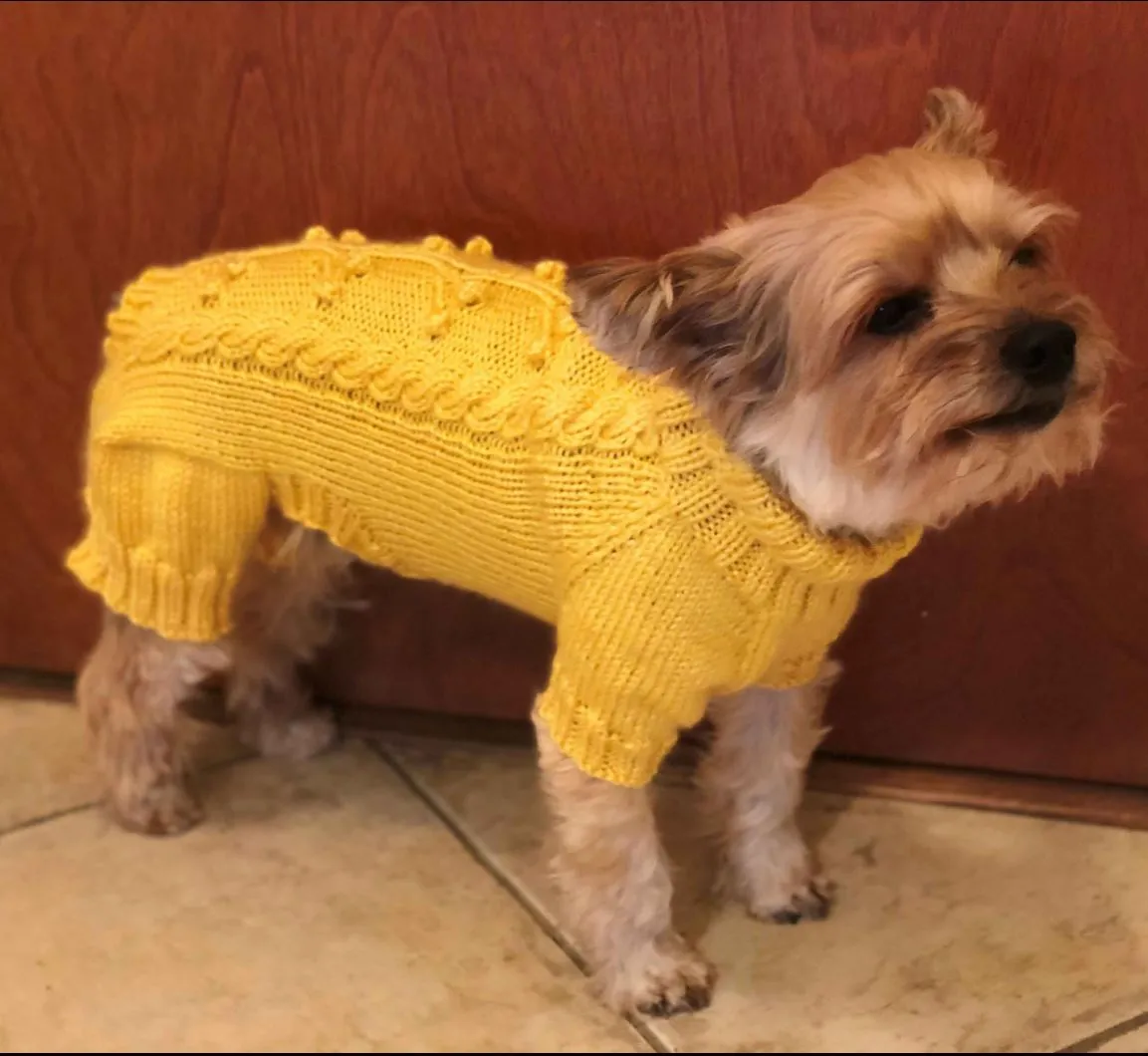 Free Knitting Pattern | Dog Cable Raglan Onesie