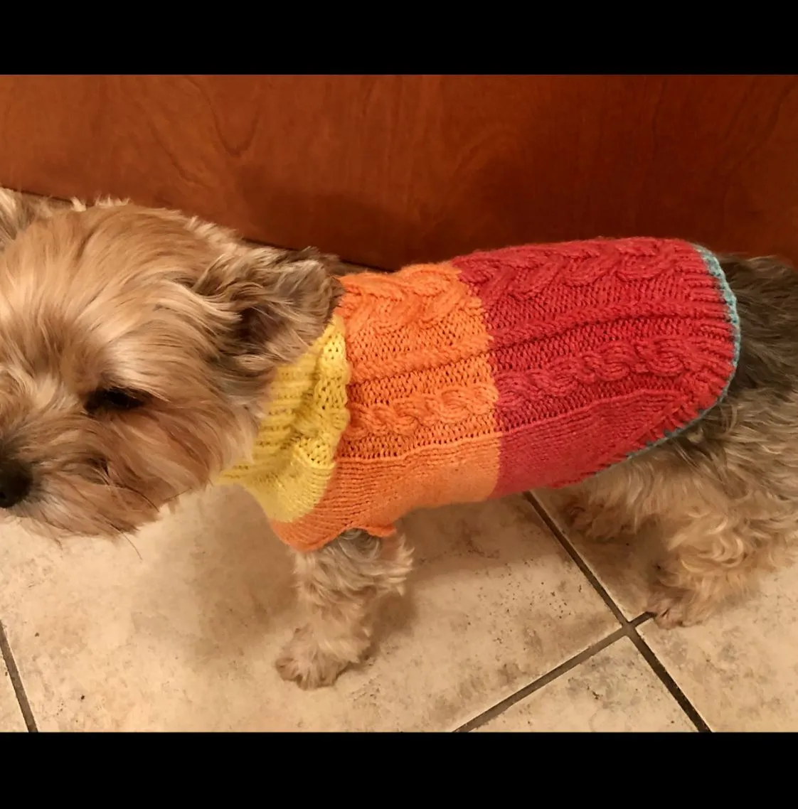 Free Knitting Pattern | Valentine Heart Cable Dog Sweater